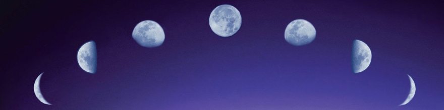 Moon Phase Gardening Planting By The Phases Of The Moon